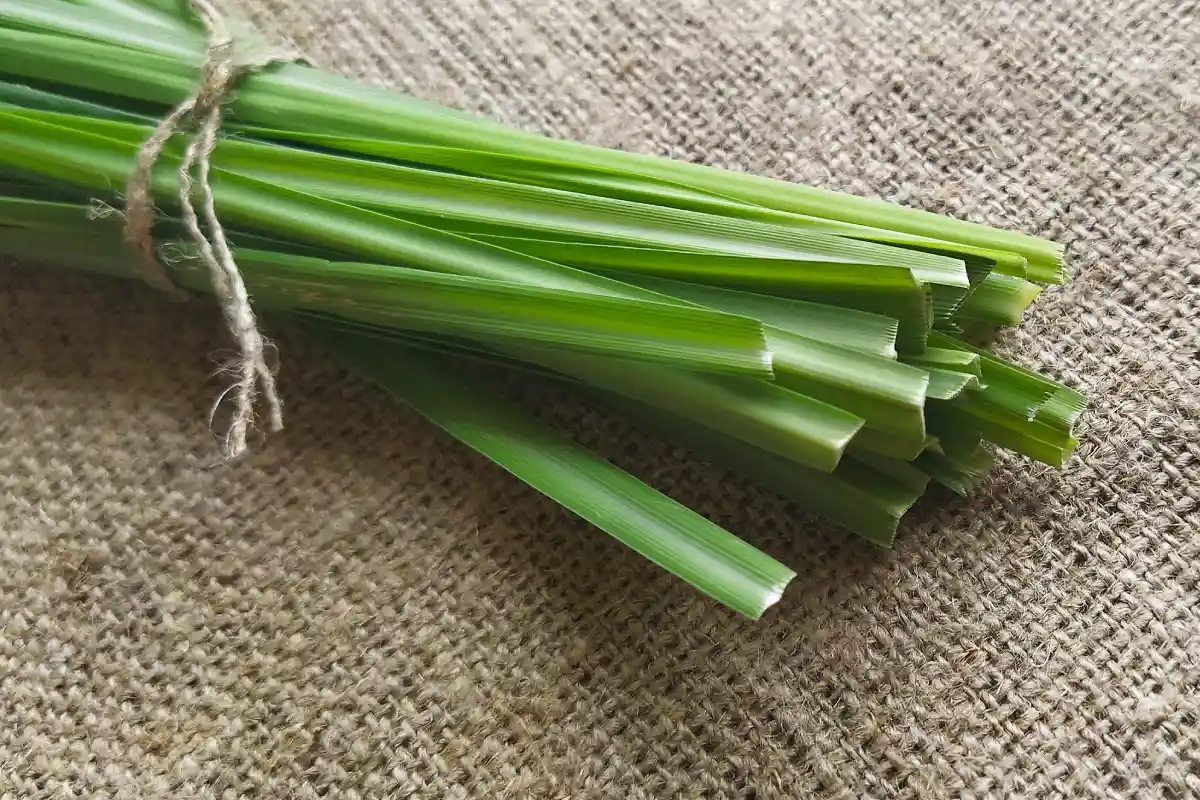 5 grandes beneficios del té de limón y algunas contraindicaciones que ...